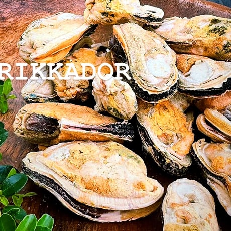 フリーズドライまるごと緑イ貝 | RIKKADOR