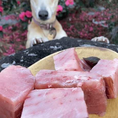 メジロザメ 500g | RIKKADOR