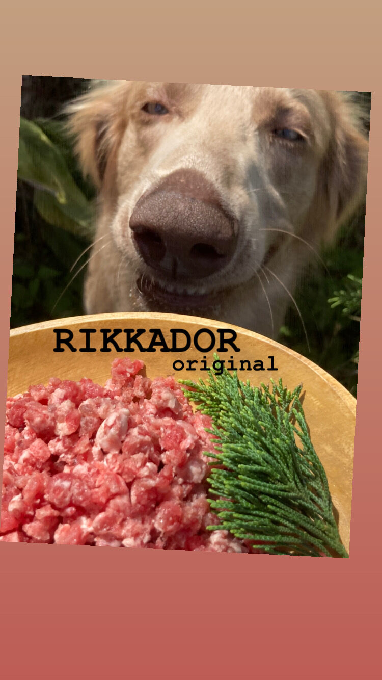 ラムミンチ500g | RIKKADOR