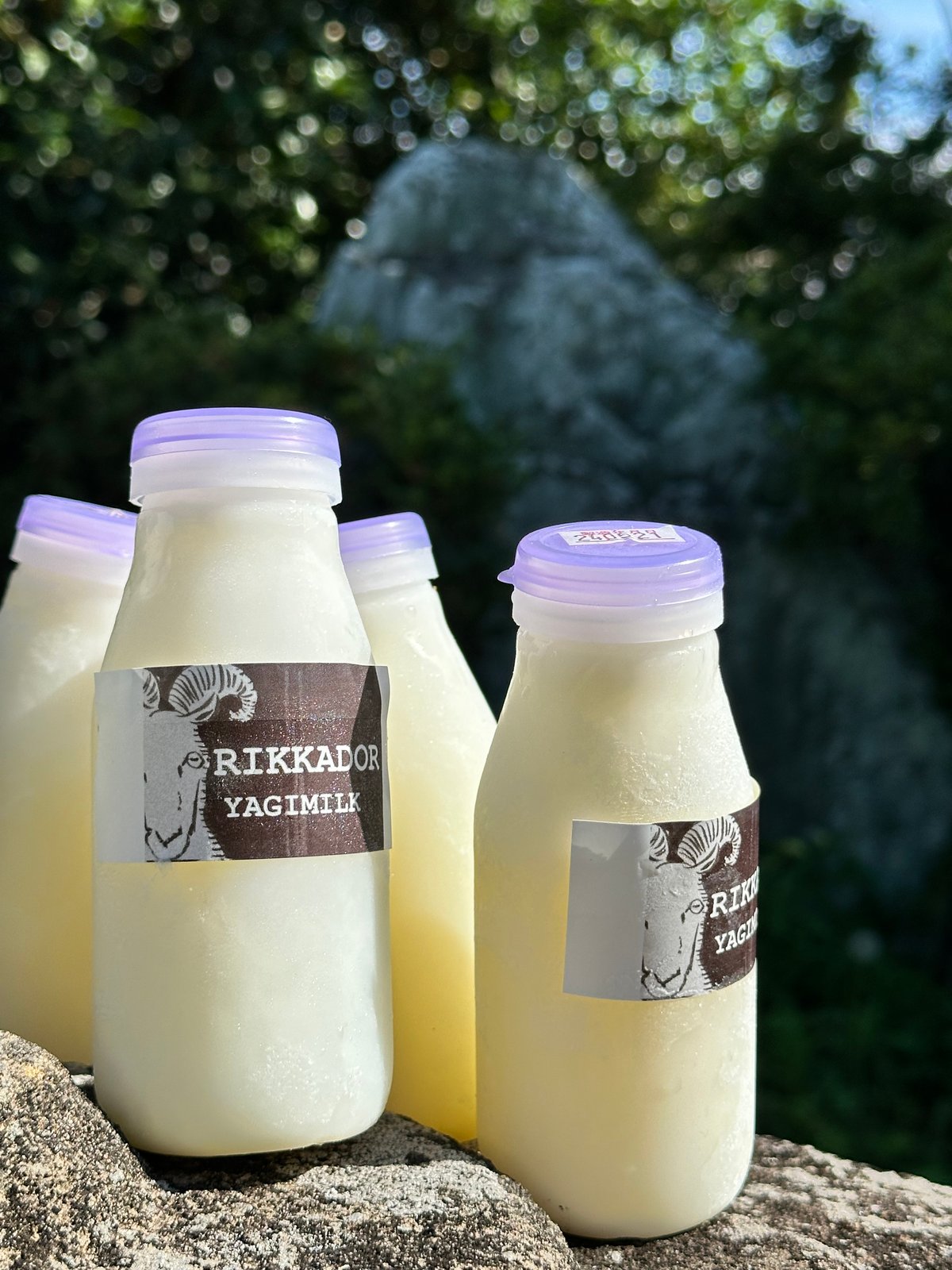 セット🐐ヤギミルク150ml×6本 | RIKKADOR