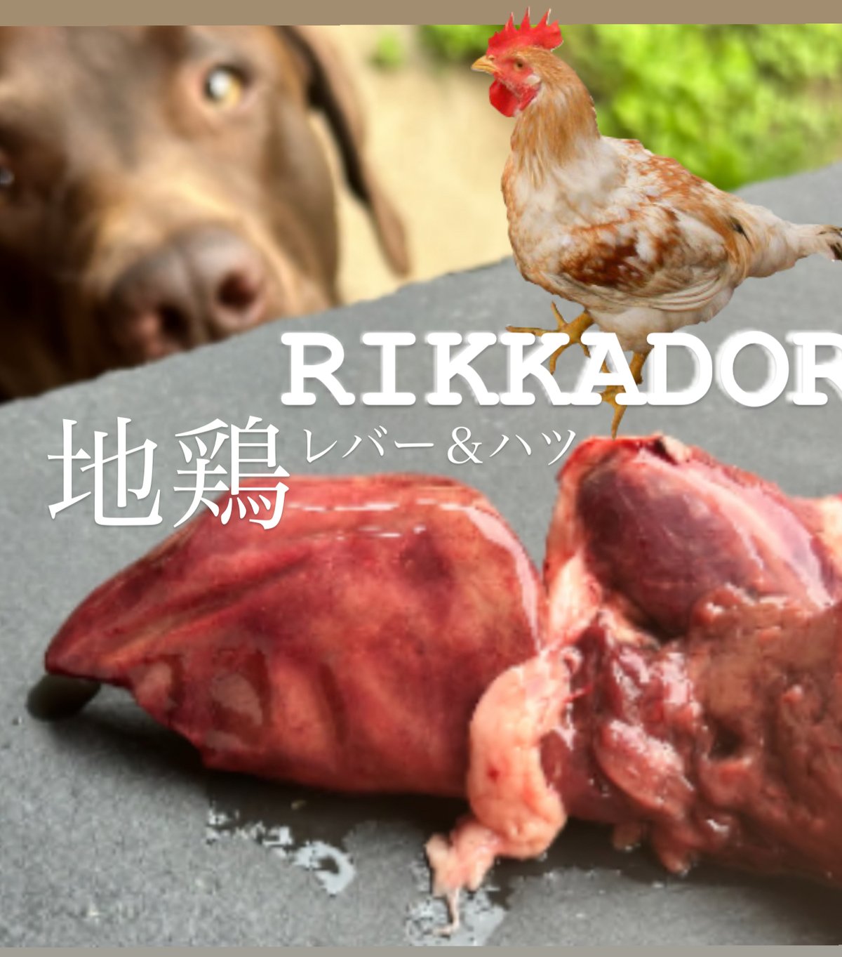 地鶏のレバー＆ハツ 1kg | RIKKADOR