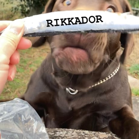 国産 ミニさんま 1kg | RIKKADOR