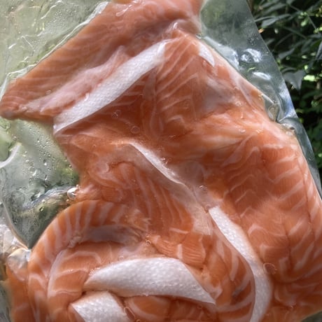 アトランティックサーモンハラス500g | RIKKADOR