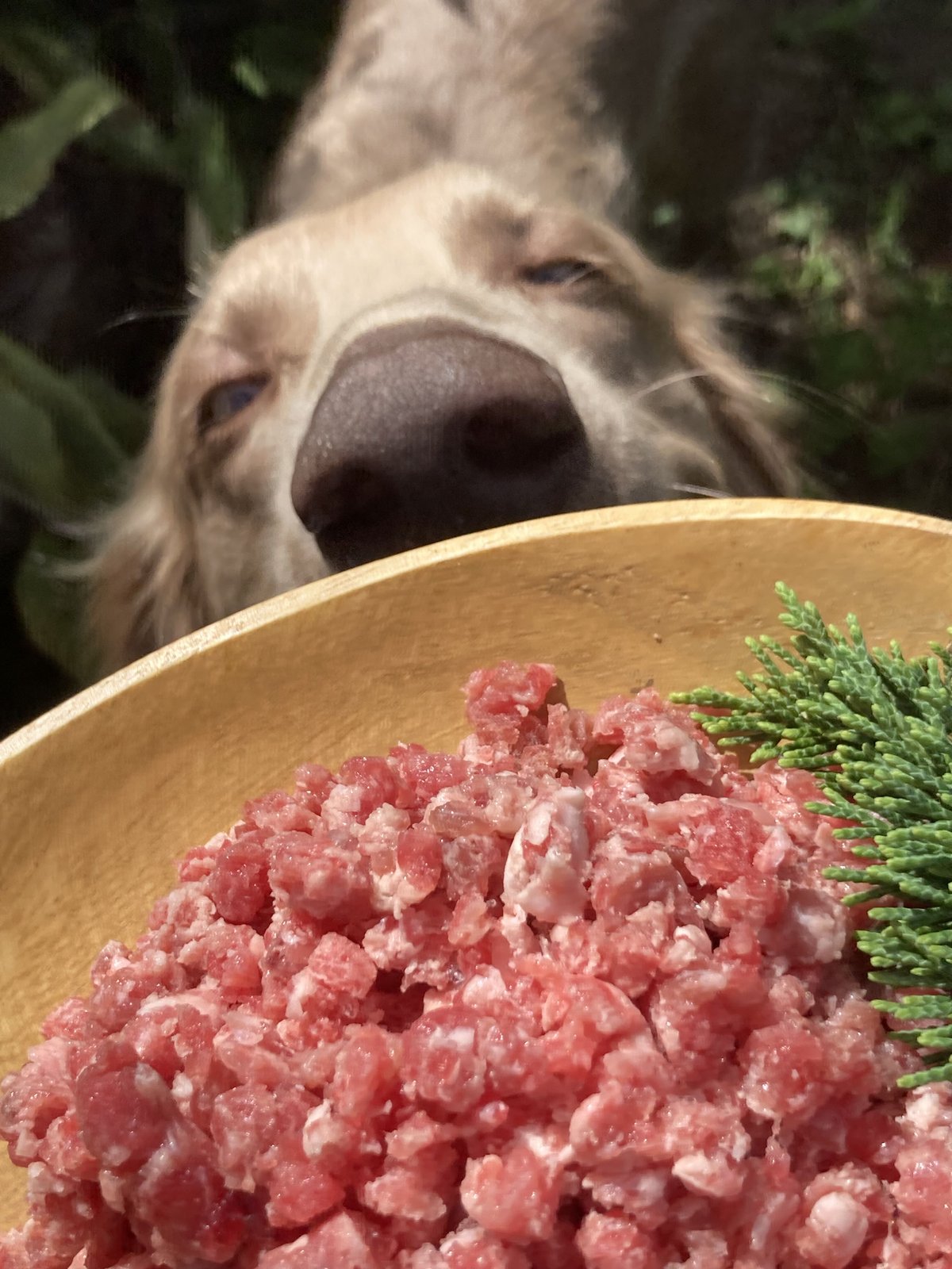 ラムミンチ500g | RIKKADOR