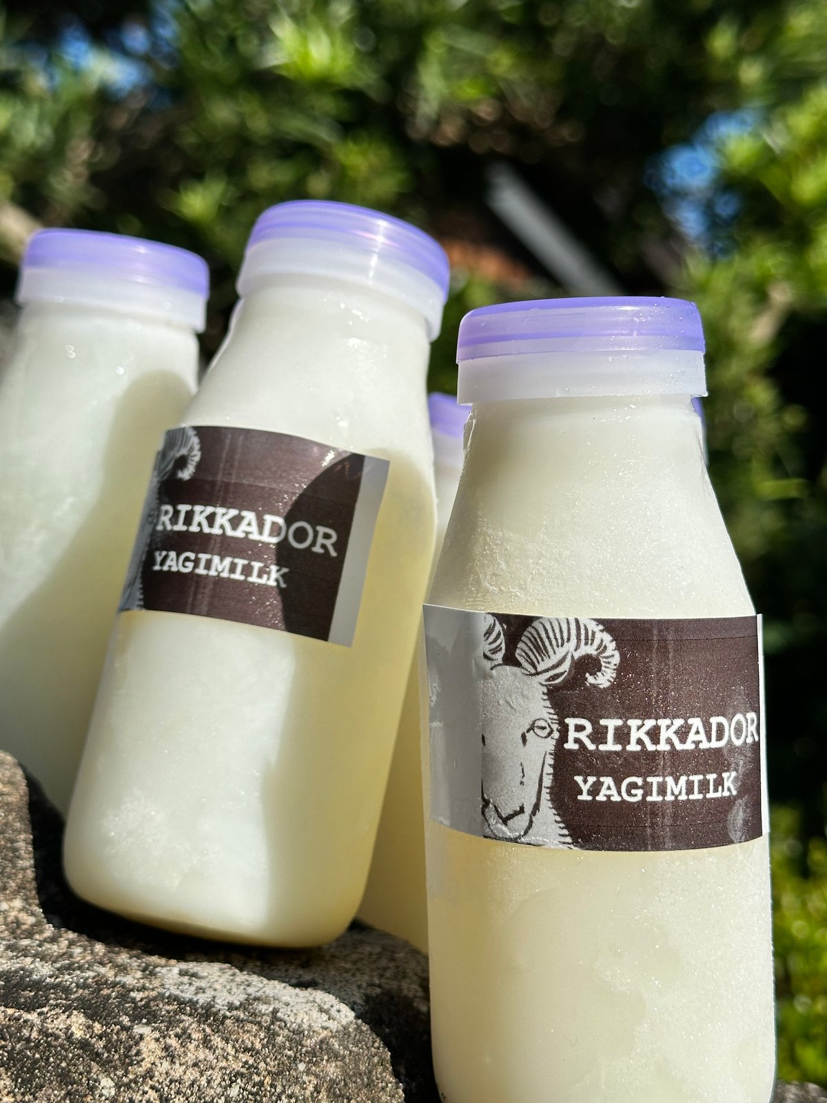 セット🐐ヤギミルク150ml×6本 | RIKKADOR