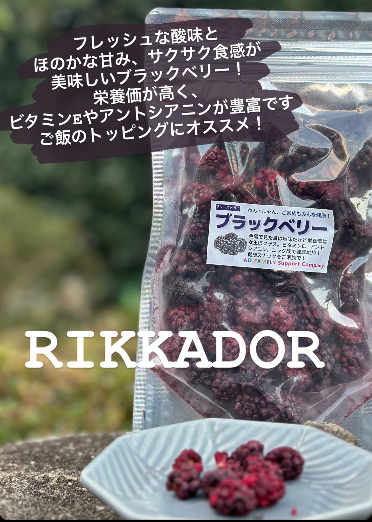 フリーズドライ ブラックベリー 36g | RIKKADOR