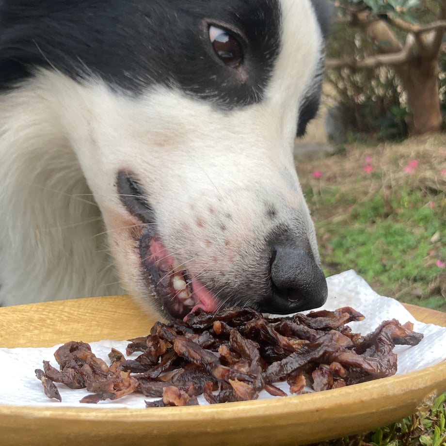 🐃牛タンフレーク100g🐃 | RIKKADOR