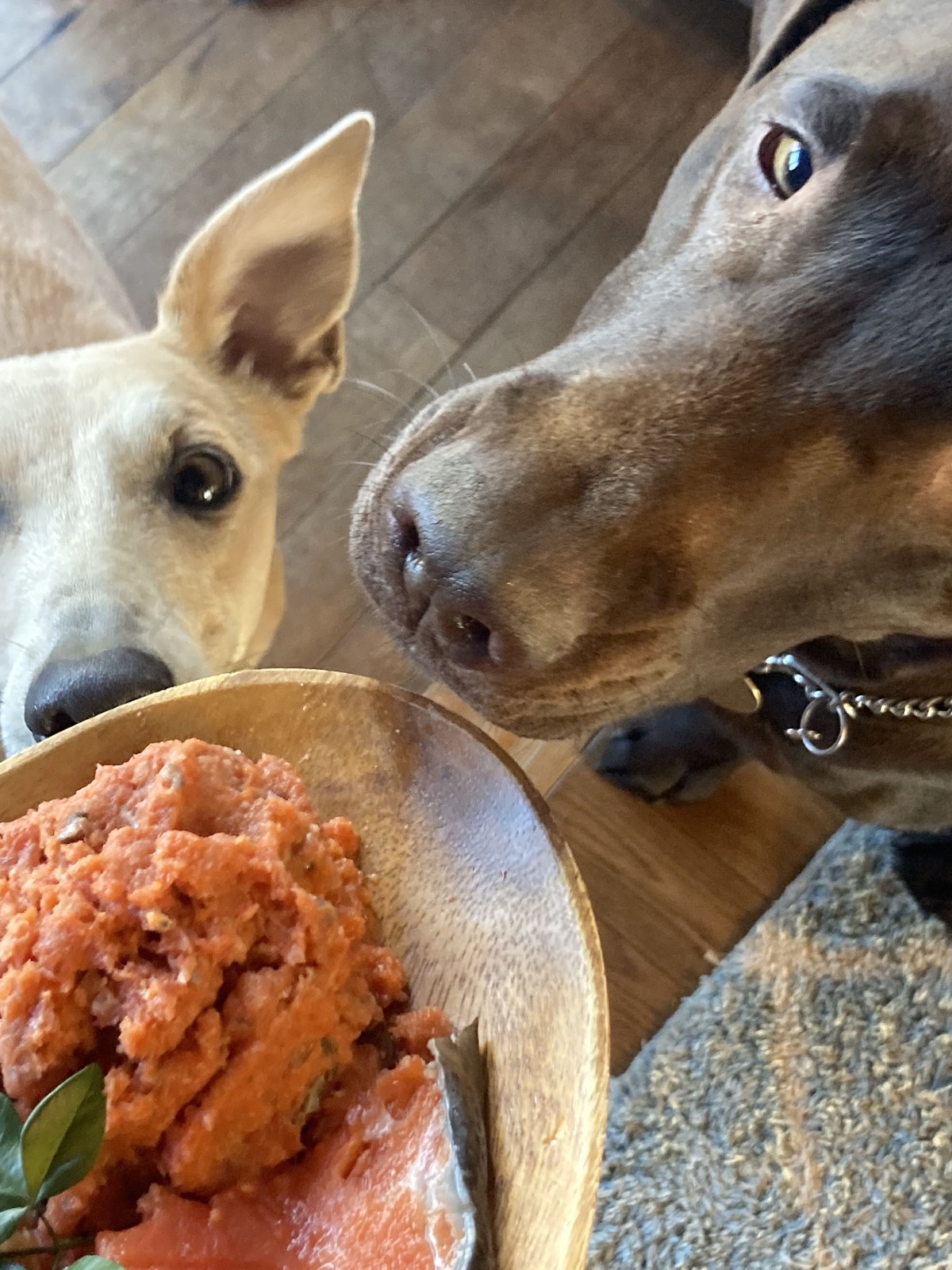 紅鮭ミンチ500g | RIKKADOR