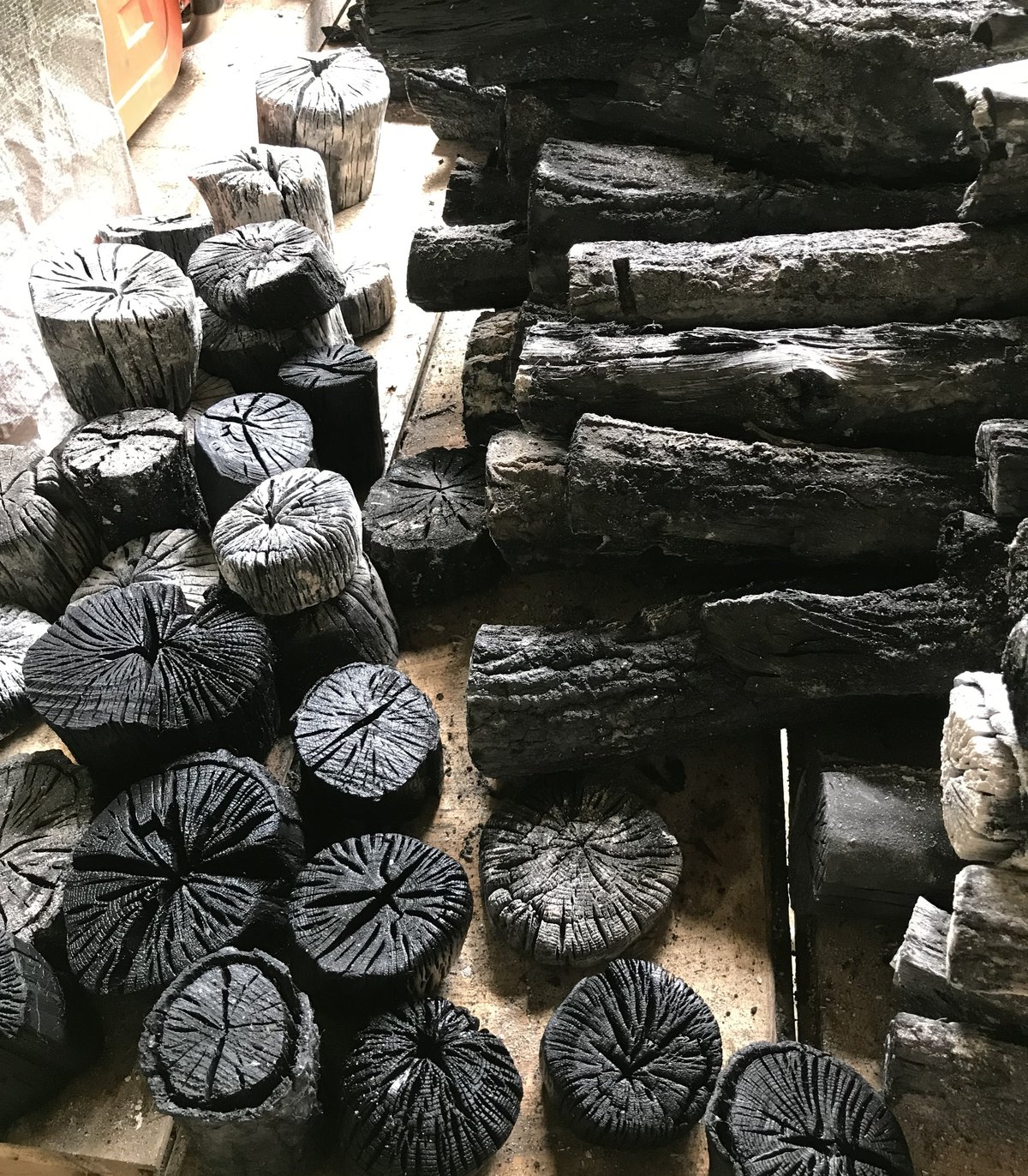 伊那谷赤松炭パウダー45g×3本セット | jojoni.no.mori.STORE