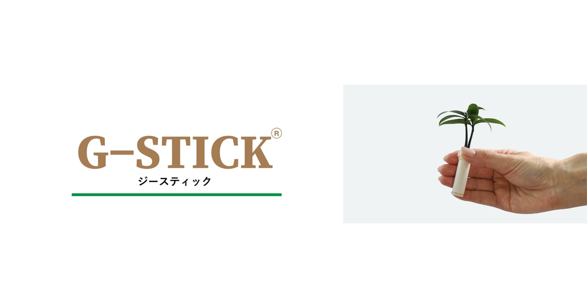 G−STICK