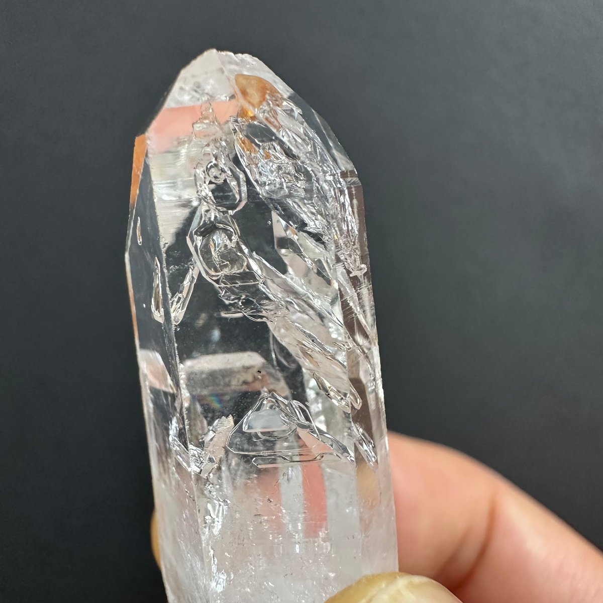 マダガスカル・フェアリーNo.6 | Native Stellar Alchemy