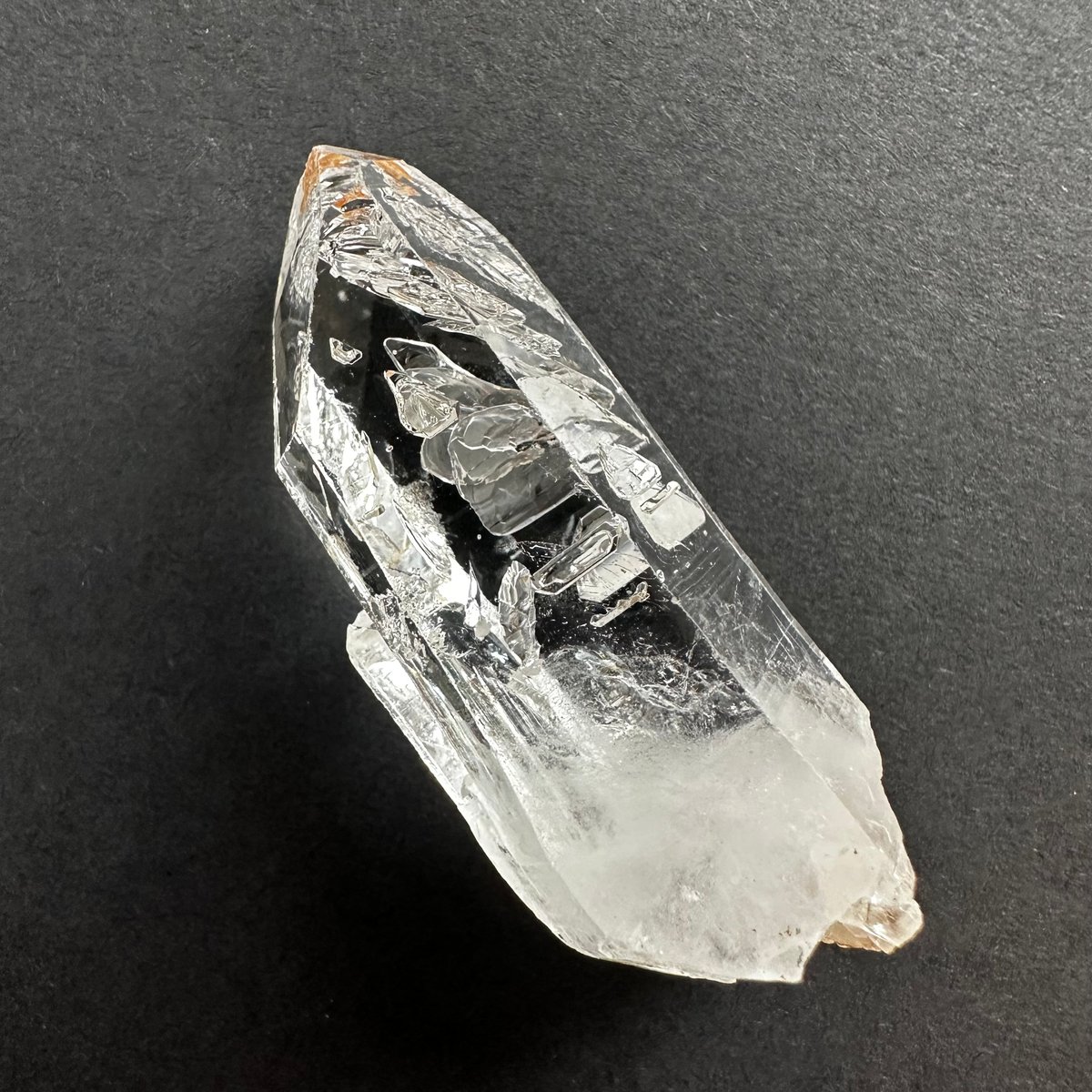 マダガスカル・フェアリーNo.6 | Native Stellar Alchemy