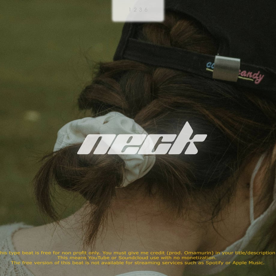 (商用) HYPERPOP + MELODIC GUITAR TYPE BEAT "NECK(...