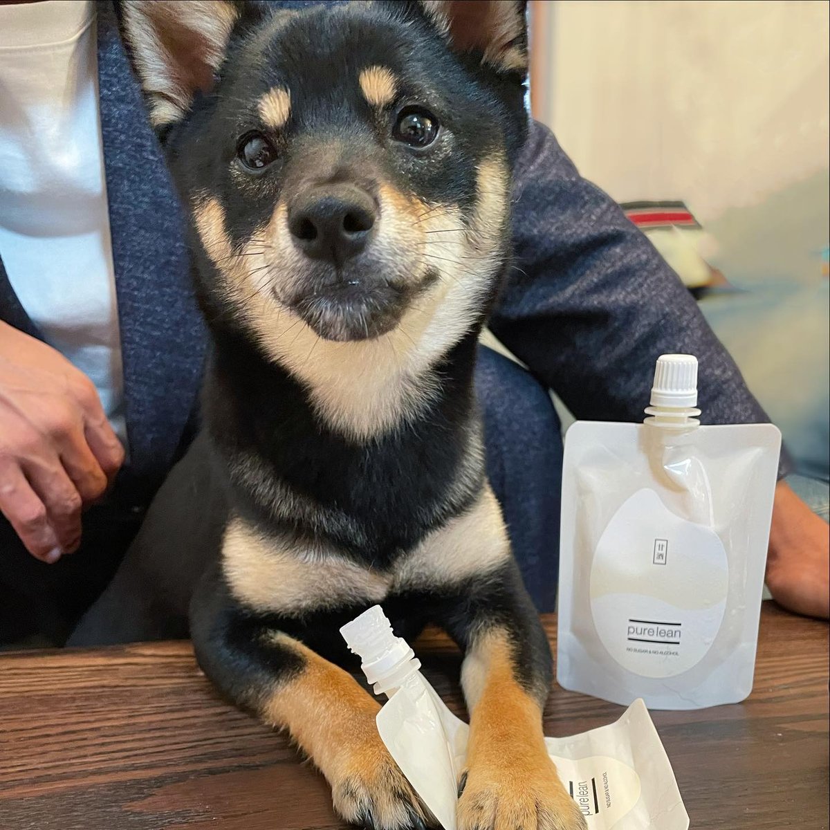 ピュアリーン甘酒プレーン100g×14本セット【冷凍品】 | purelean store