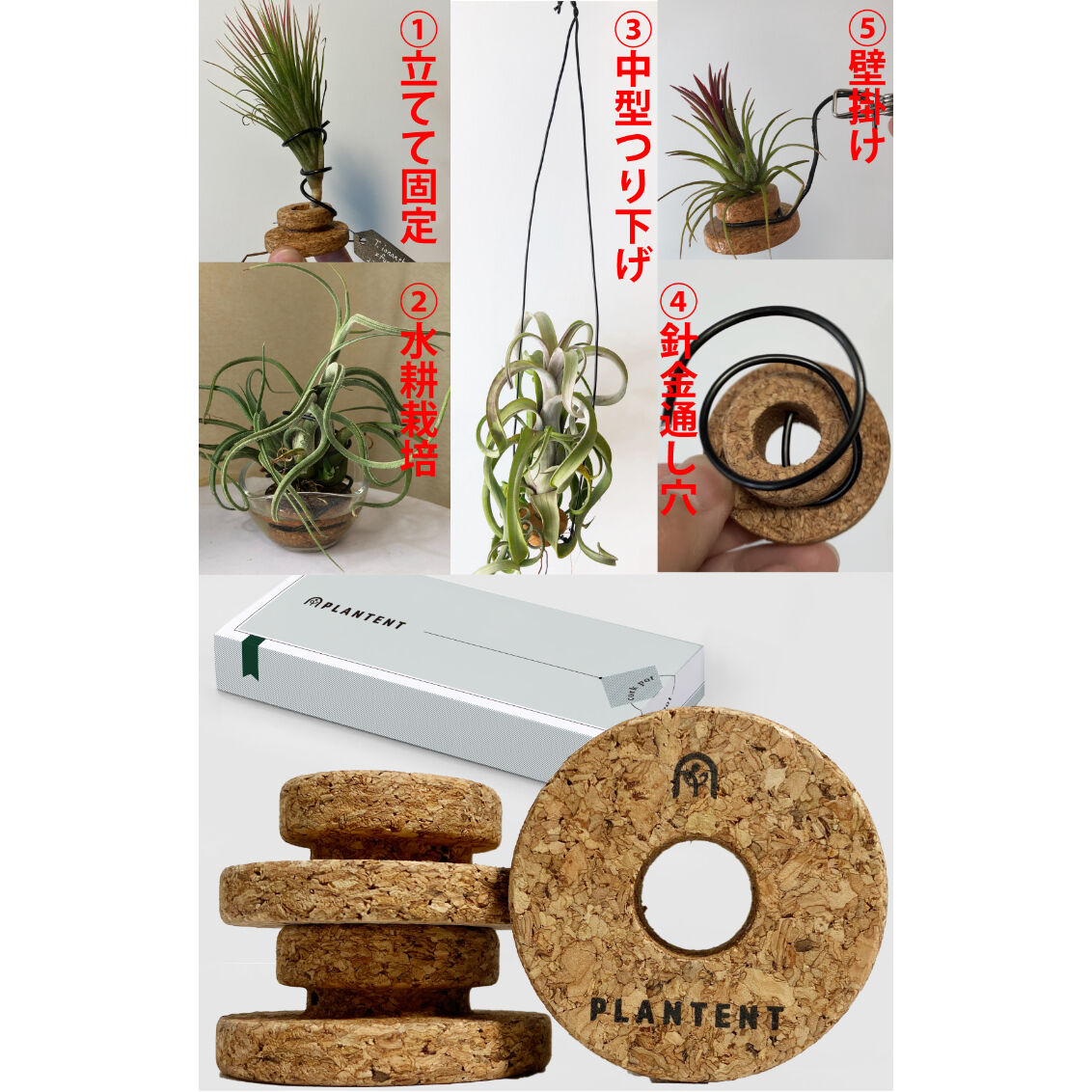 【engei_diy】コルクポット ティランジア専用着生材 3個入 【送料無料】【埼玉県よりネ...