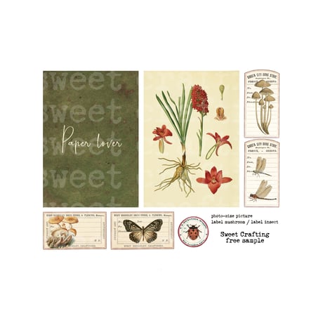 free sample1 | Sweet Crafting