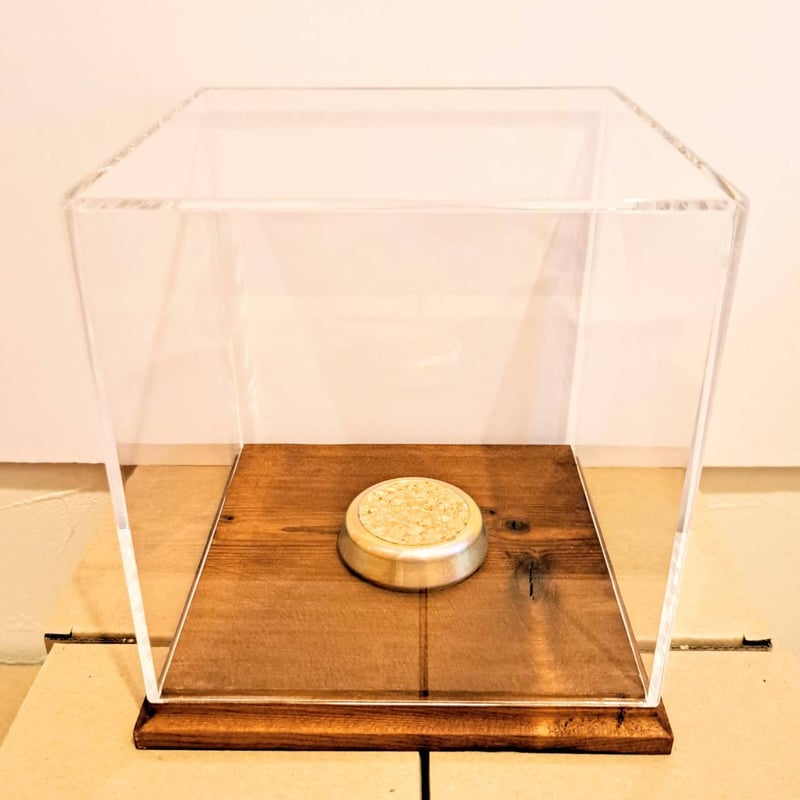 大型標本展示用ショーケース】150×150×160 ※アクリル製ケース 大型標本展示用ショーケース】150×150×160 ※アクリル製ケース