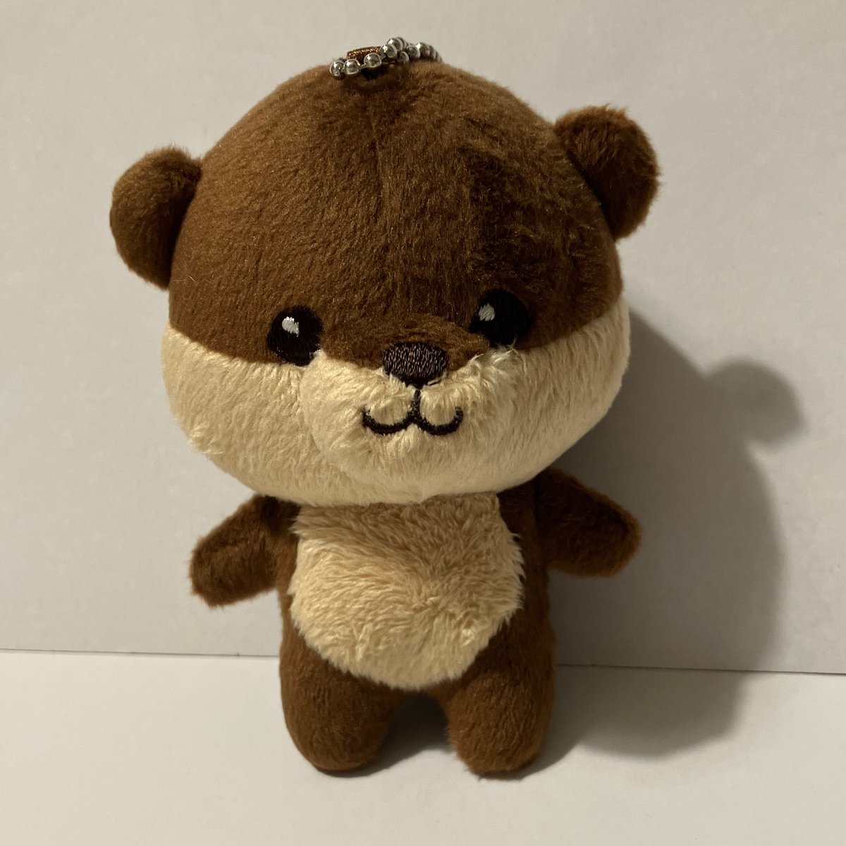 RIIZE ショウタロ Shoshoro dolls ショショロかわうそ10cmDoll