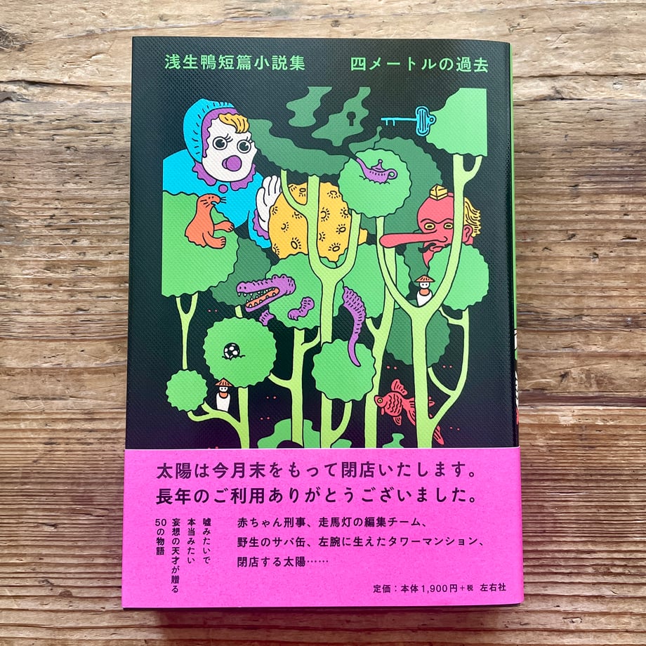 四メートルの過去（浅生鴨） | neconos books