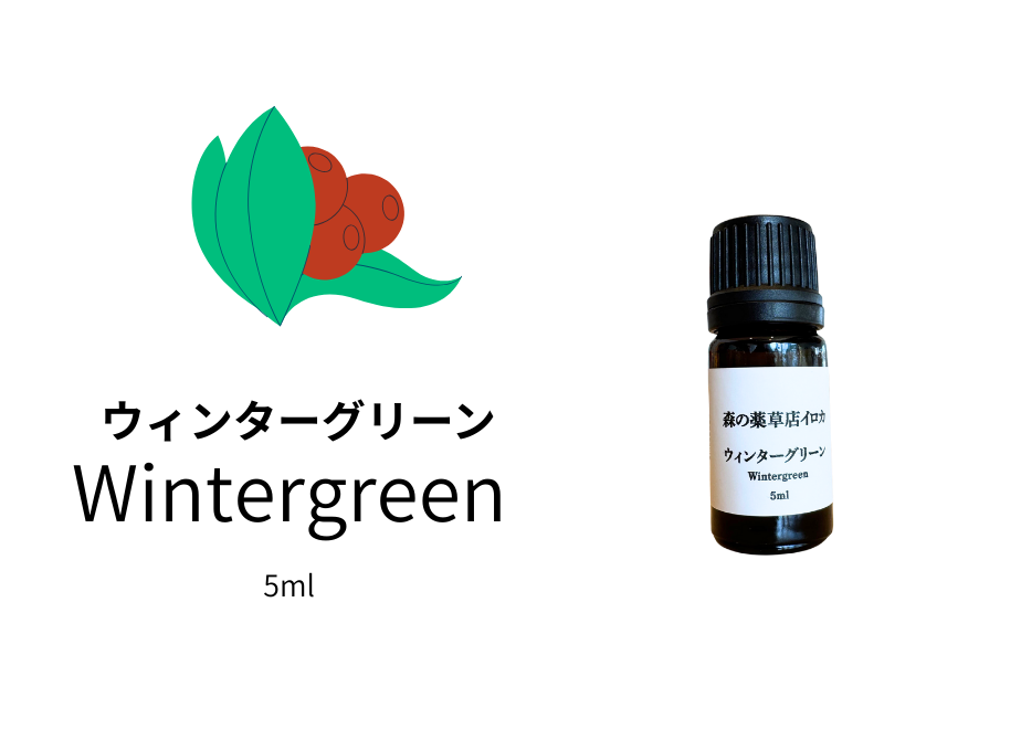 【シングルエッセンシャルオイル】Wintergreen 5ml | 森の薬草店イロカ