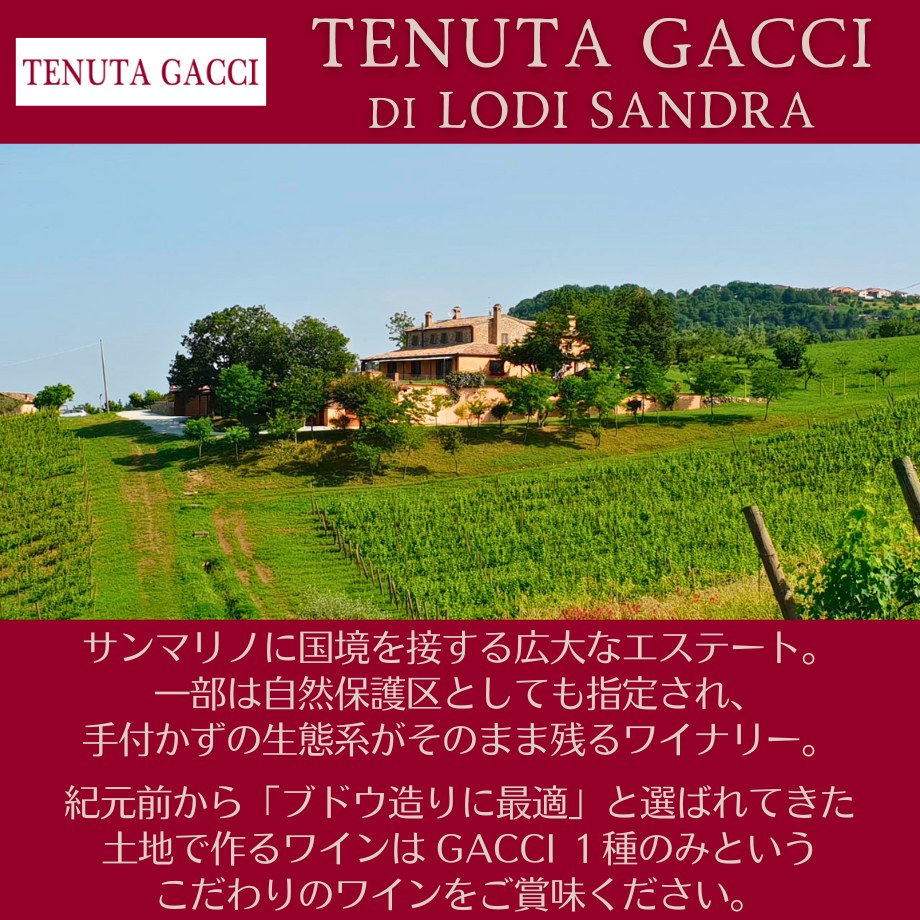 【イタリア好き掲載商品！】Tenuta Gacci / ロッソ ルビコーネ IGT "Tenu...