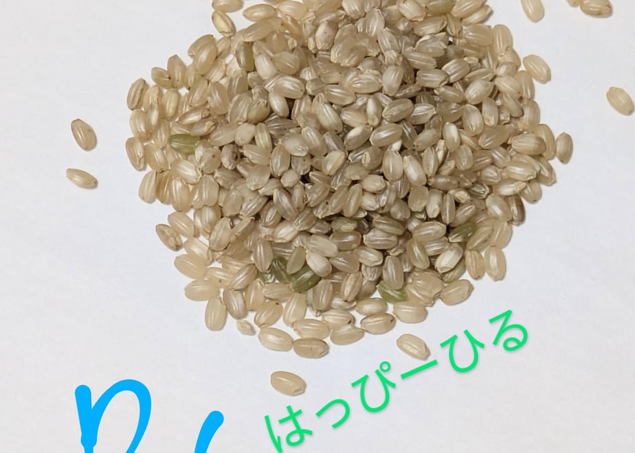 ハッピーヒル種籾（うるち米）（陸稲種籾）100ml（約70g）(2200粒位）【送料含む】