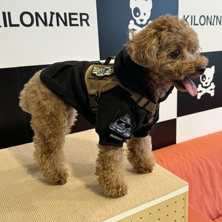 KILONINER(キロナイナー）JP Wing model Patch | DOGGYWORKS