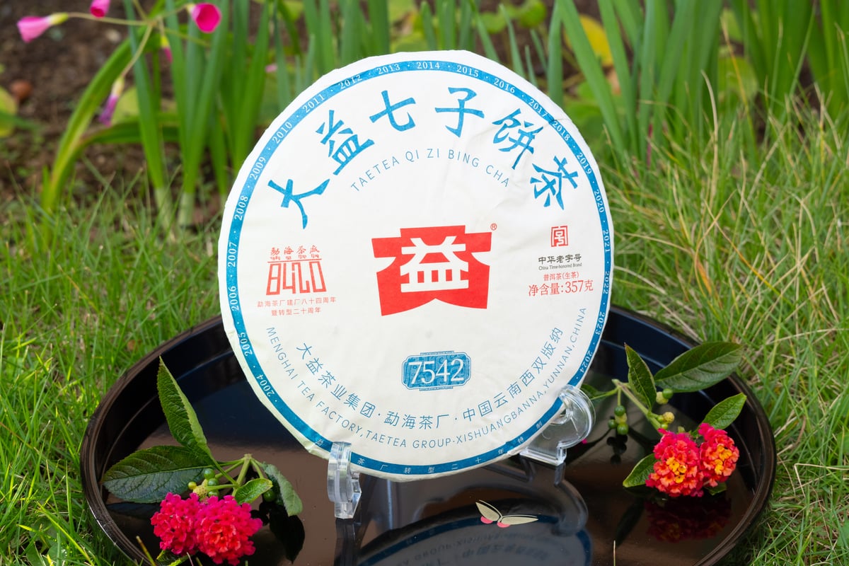 2024年_7542大益茶（357g餅） | Ancient Tea