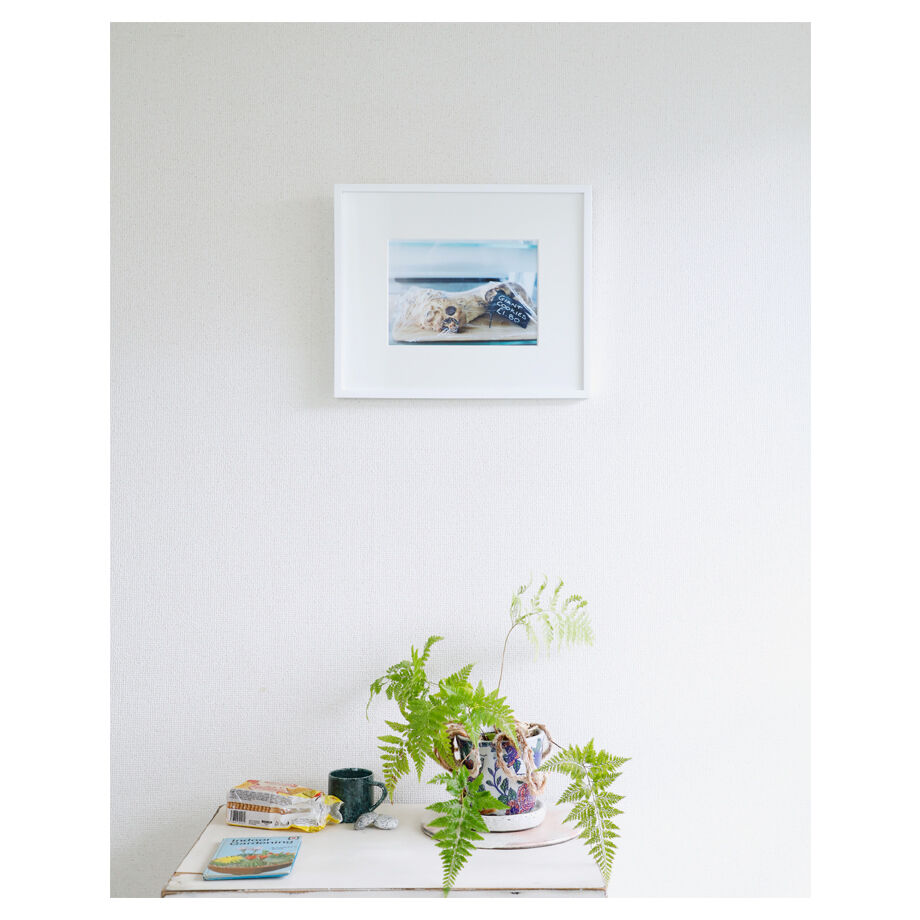 original print “giant cookies” | YUKO FUKUI PH...