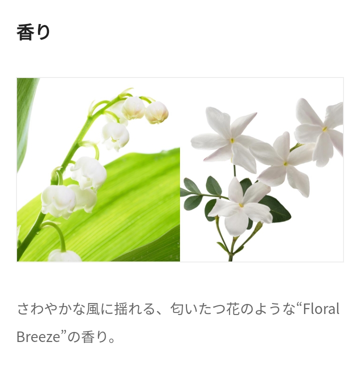 ミルボン スムース スムージングM ヘアケアセット | BI.TO.WA (ビトワ)