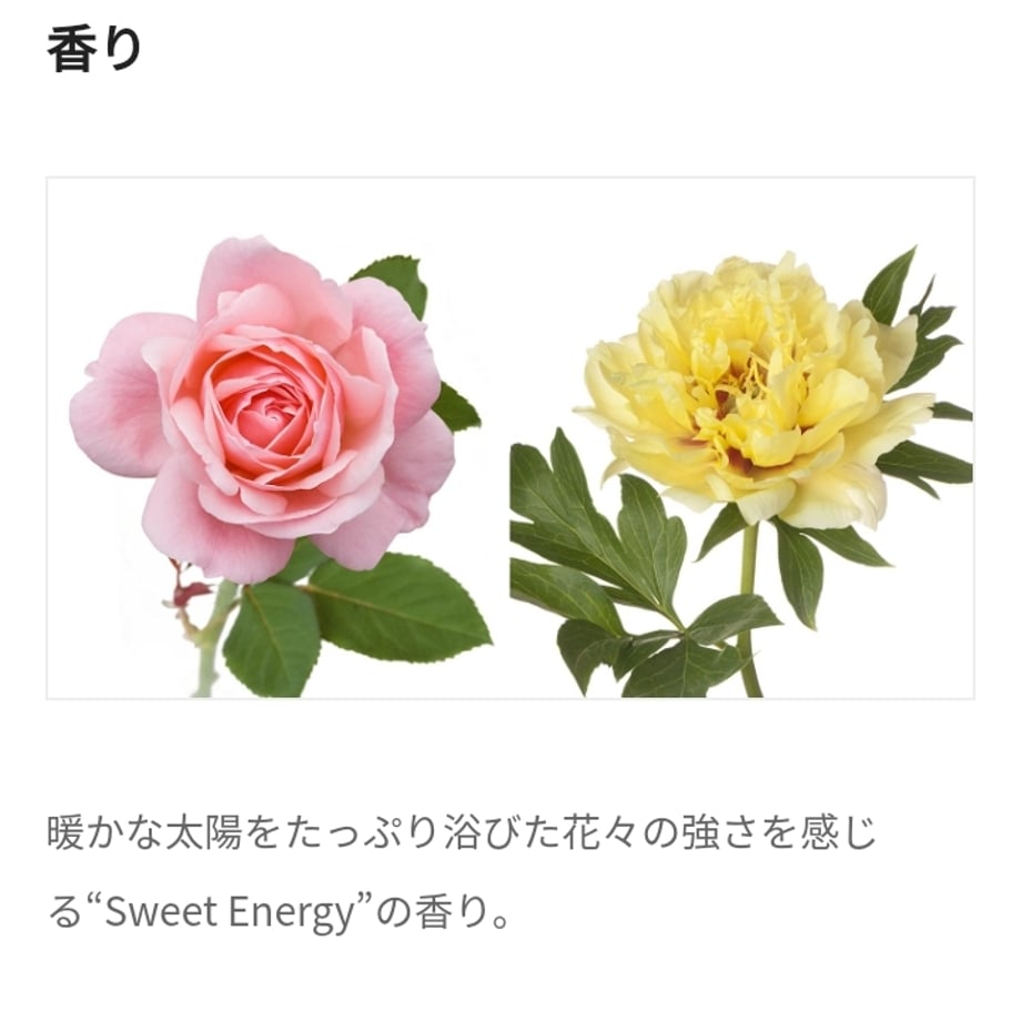 ミルボン リペアヒート ヒートプロテクティブ ミスト 120ml | BI.TO.WA (ビトワ)