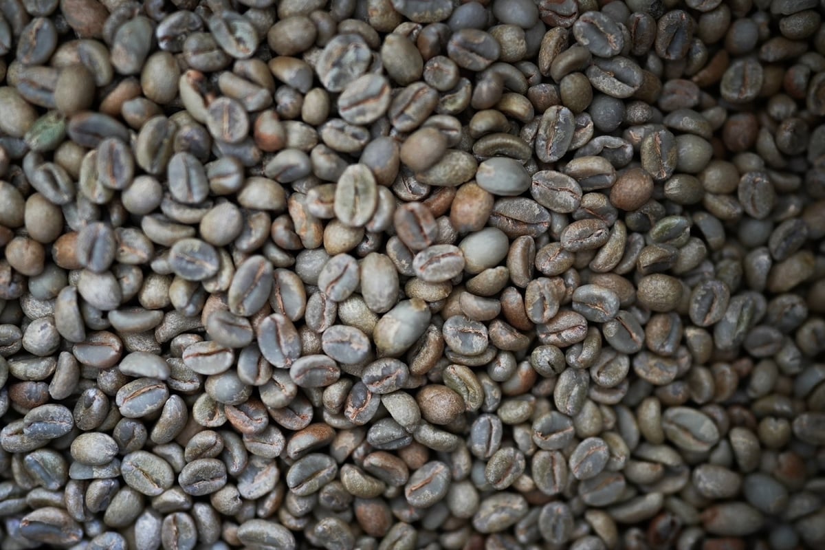 Kenya Kangocho AA Washed 100g/200g | Oliver cof...