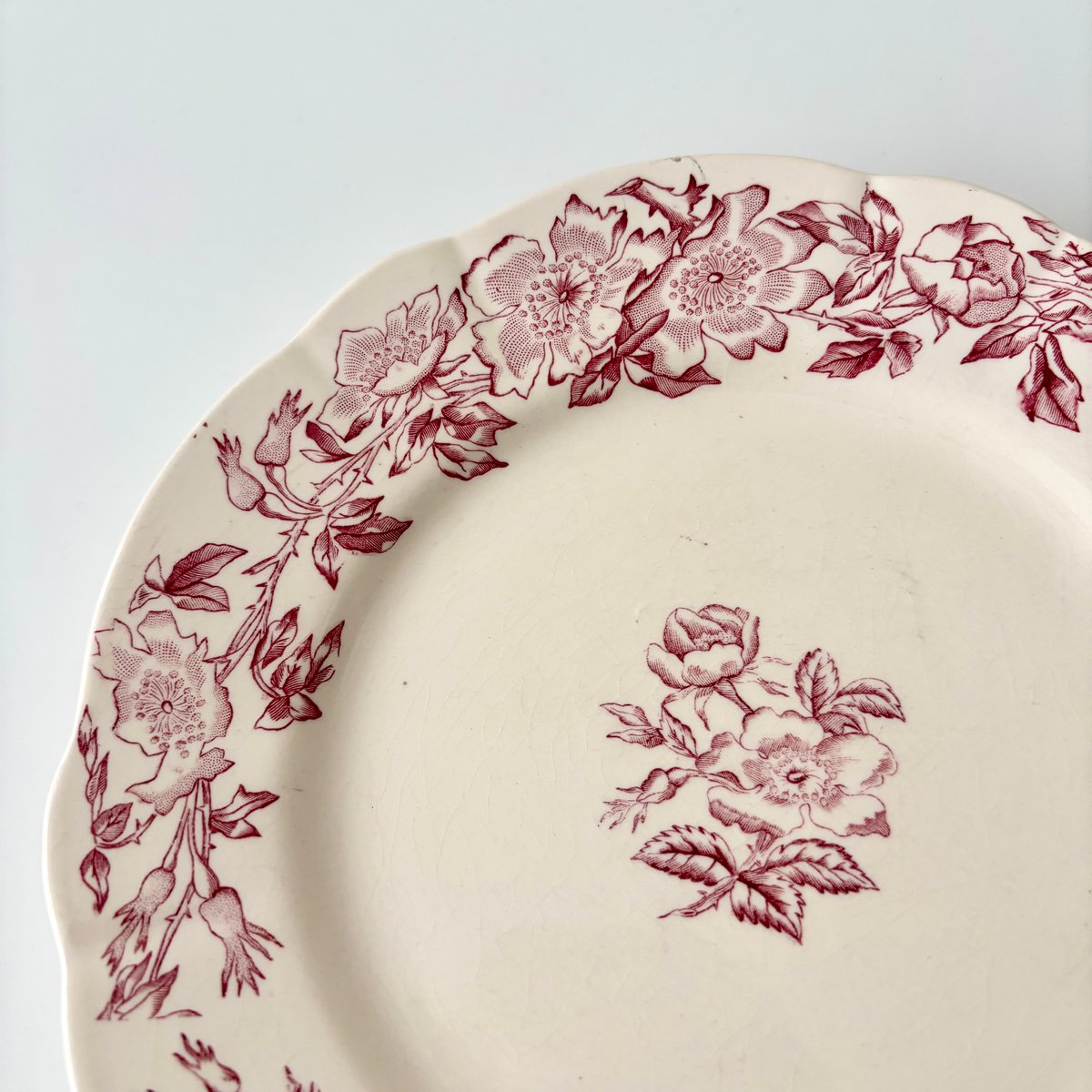 ロンシャン Longchamp dessert plate Eglantines デザートプレ...