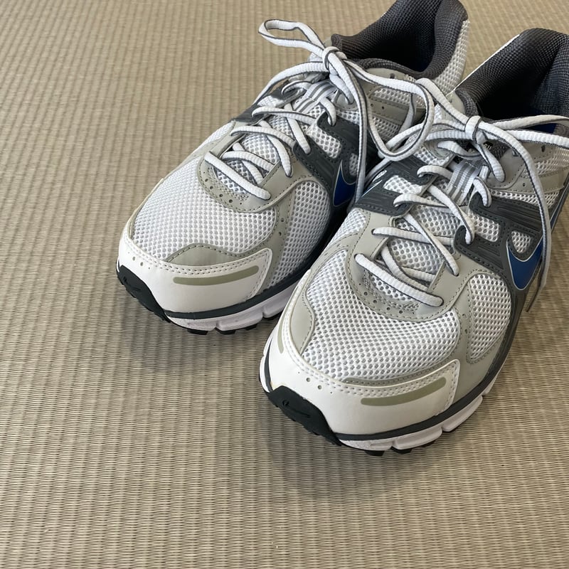NIKE AIR PEGASUS 27 (2010) | Room 304 NIKE AIR PEGASUS 27 (2010) | Room 304
