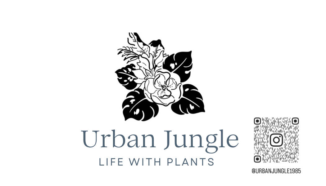 ABOUT | Urban Jungle
