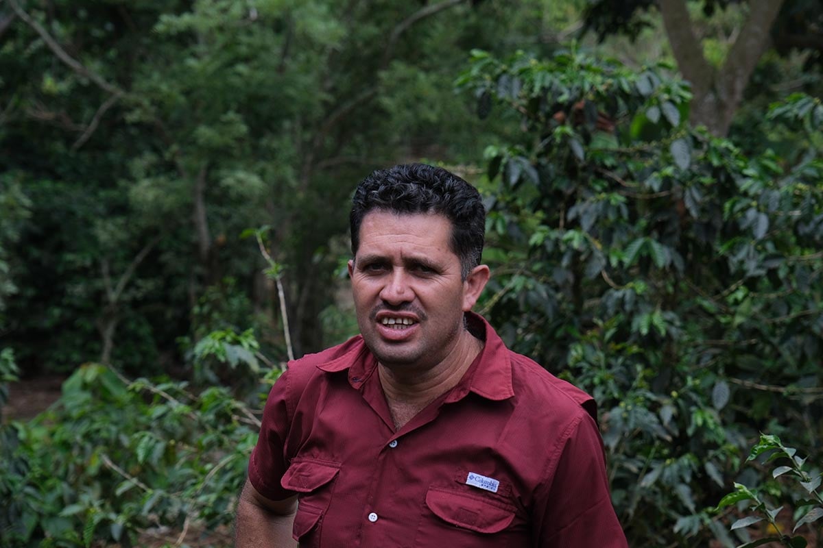 Mario Moreno Honduras washed Pacas 180g | solka...