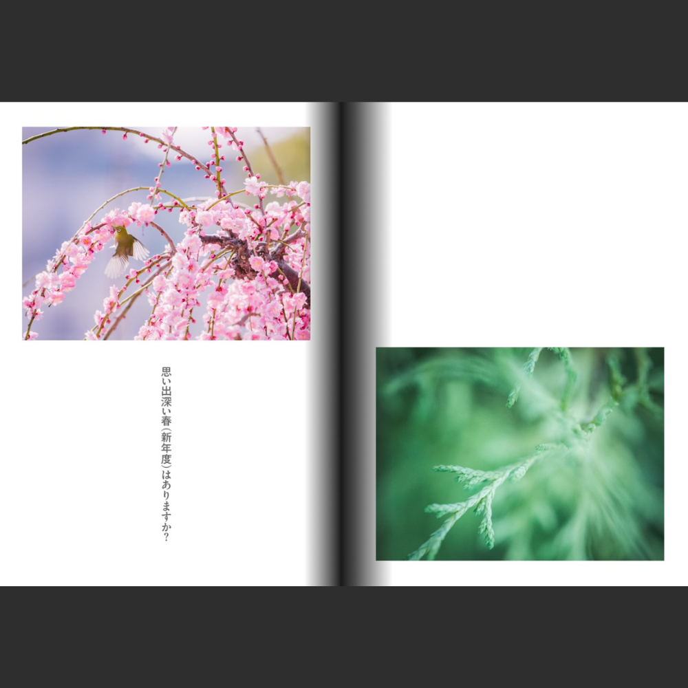 JimaTube Select 04 | JimaTube -STORE-