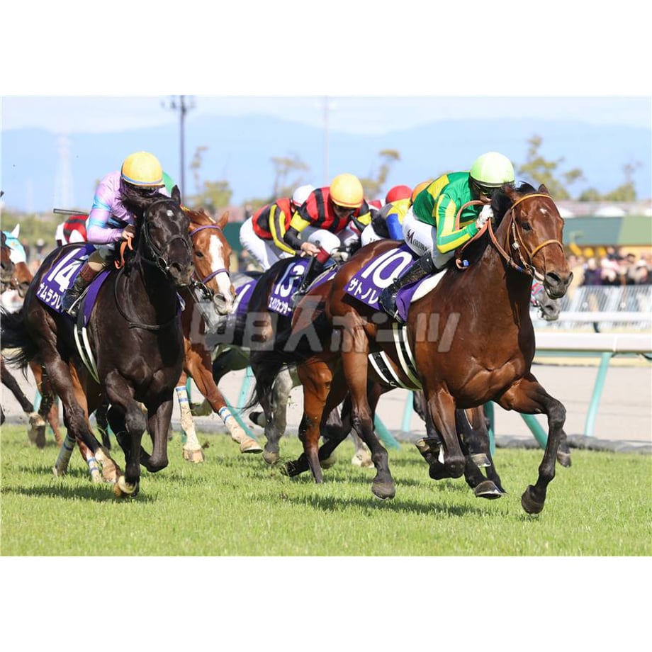 第55回高松宮記念 サトノレーヴ（A3） | 中日新聞フォトサービス 写真販売サイト