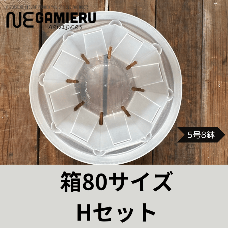 透明鉢《 NEgamieru 》箱80サイズ Hセット | 花森家-2号店- 透明鉢《 NEgamieru 》箱80サイズ Hセット | 花森家-2号店-