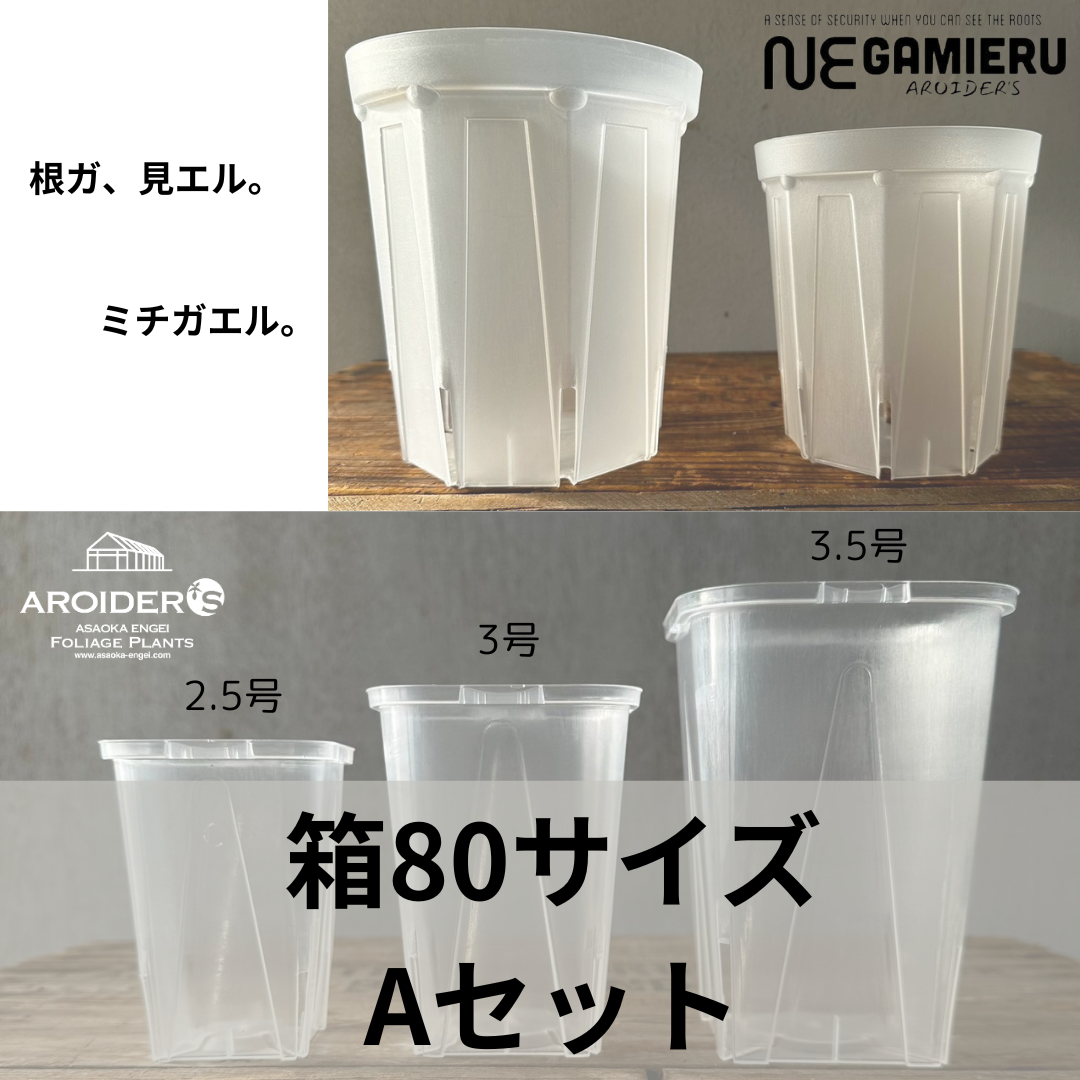 透明鉢《 NEgamieru 》箱80サイズ Aセット | 花森家-2号店- 透明鉢《 NEgamieru 》箱80サイズ Aセット | 花森家-2号店-