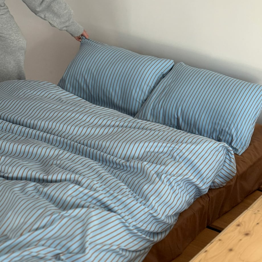 beddingsets-03139 Light blue×Brown Stripe Beddi...