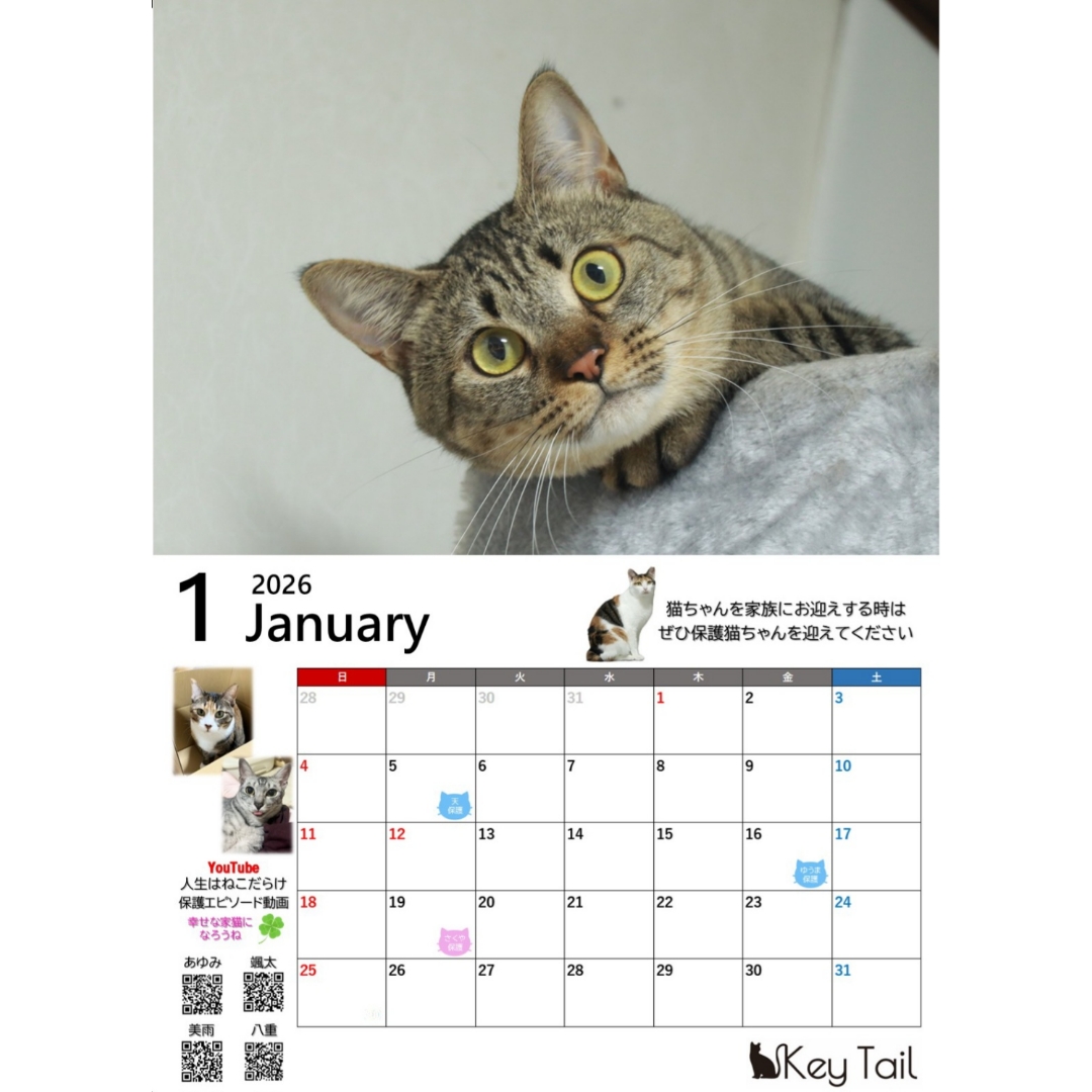 【完売しました！】keytailオリジナルカレンダー(2026) | 猫活応援Shop