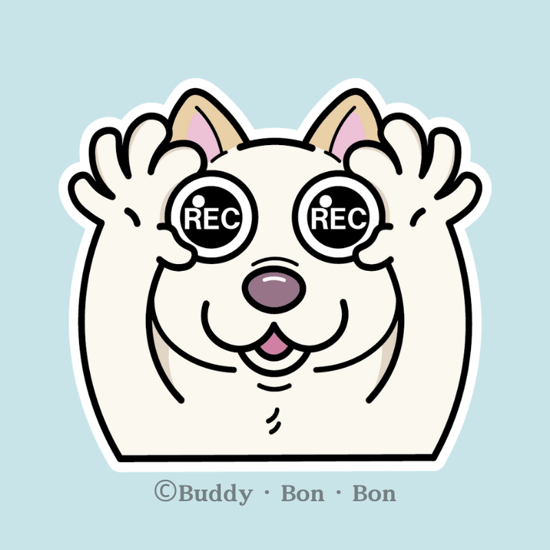 日本犬風(白) | Buddy・Bon・Bon
