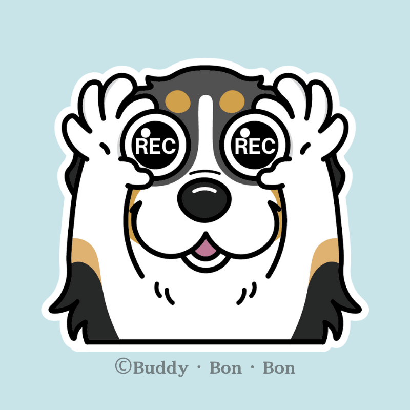 バーニーズ風 | Buddy・Bon・Bon