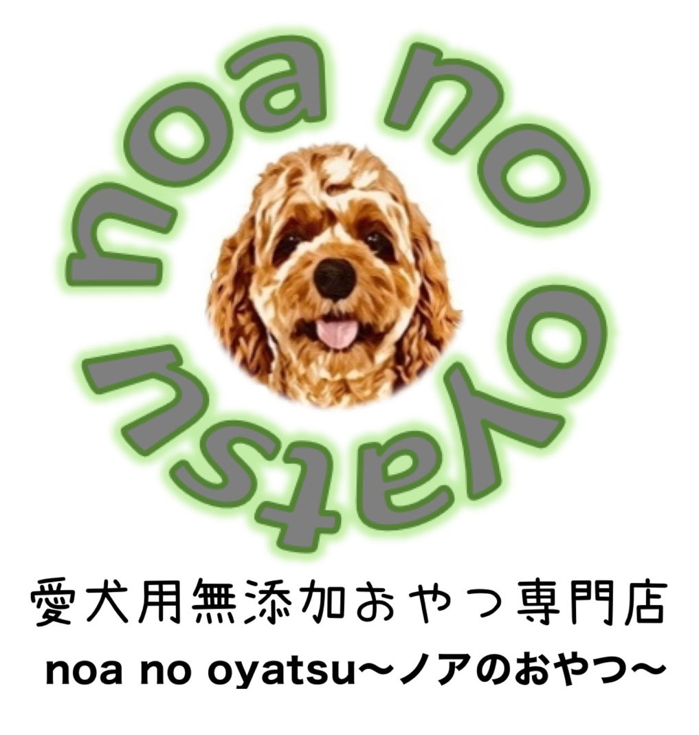 サメジャーキー 30g | noa no oyatsu ~ノアのおやつ~