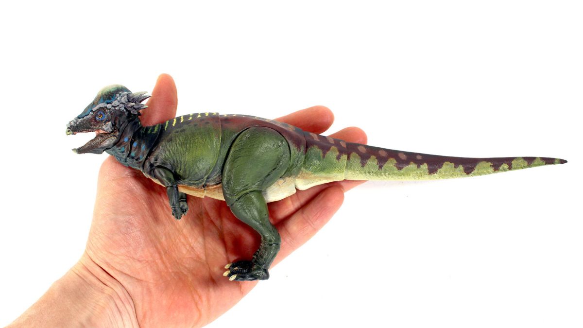 Pachycephalosaurus wyomingensis 1/18 Scale Acti...