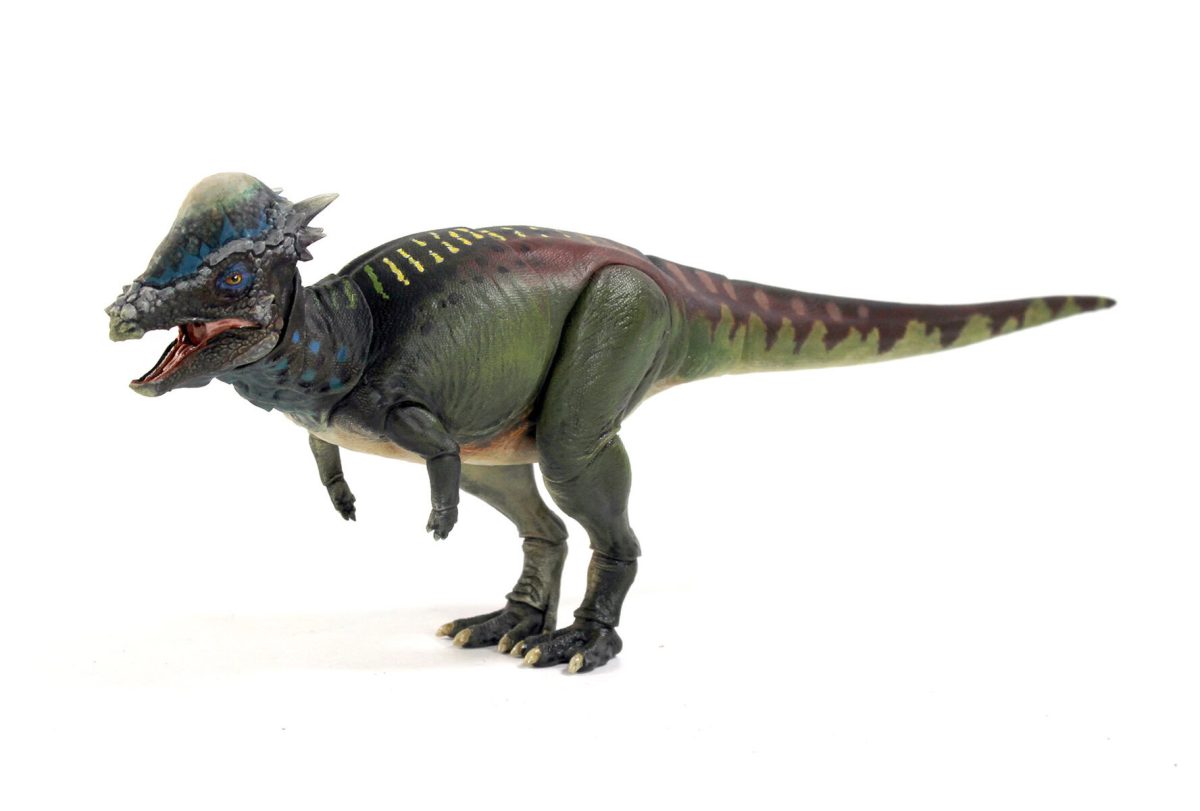 Pachycephalosaurus wyomingensis 1/18 Scale Acti...