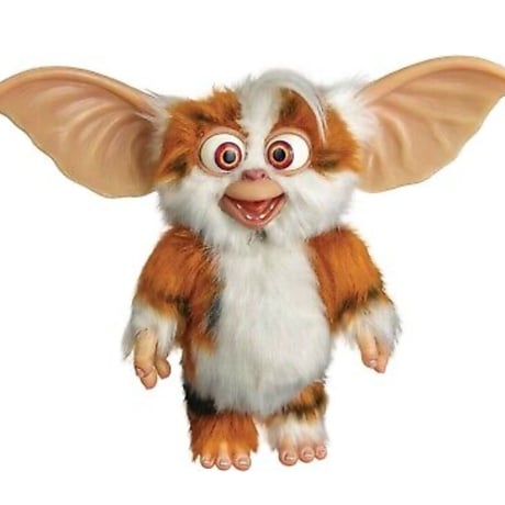 gizmo | STORES gizmo | STORES