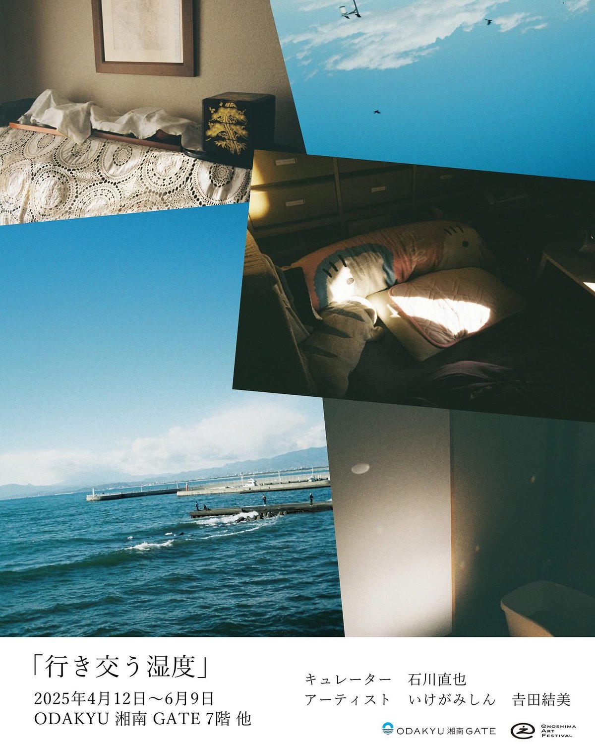 展示のお知らせ | shin ikegami STORE