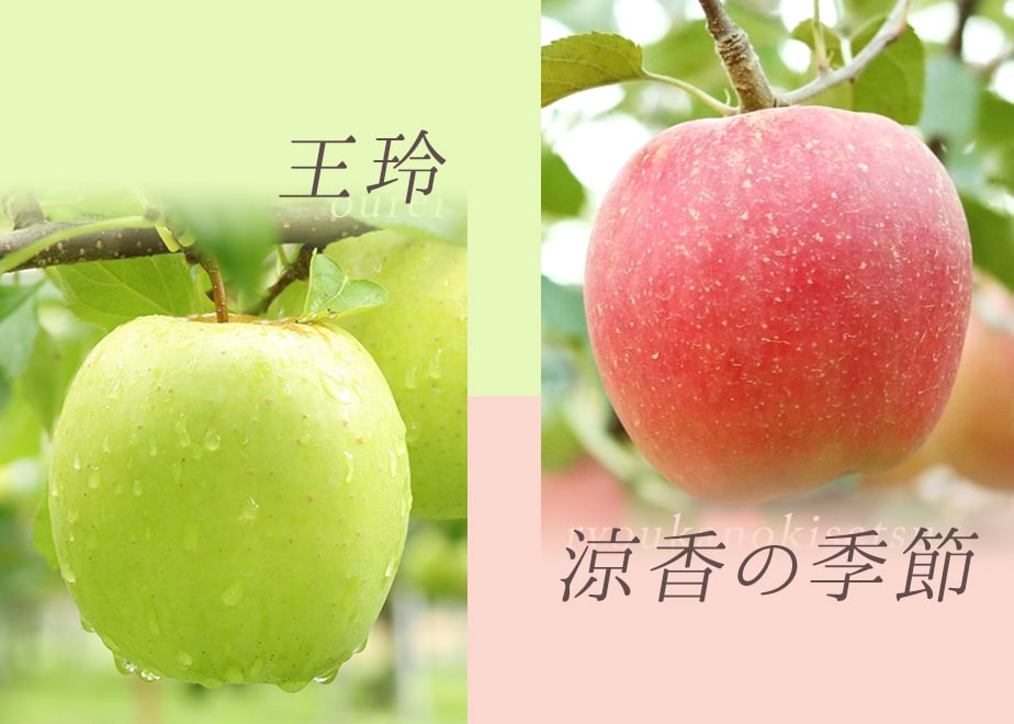 詰め合わせ「王玲＆涼香の季節」3kg | 大石果樹園